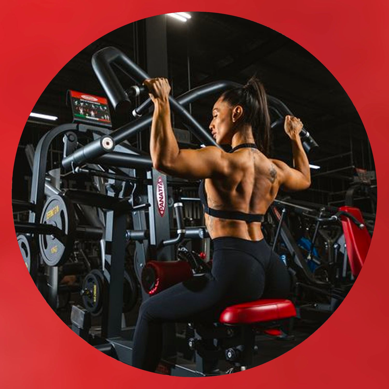 Sports Supplements Store Online - Welltech Nutrition